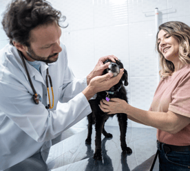 Gestionale Veterinario | Provet Cloud