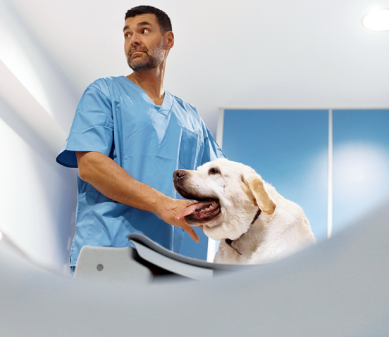 Programvare for Veterinærpraksis | Provet Cloud