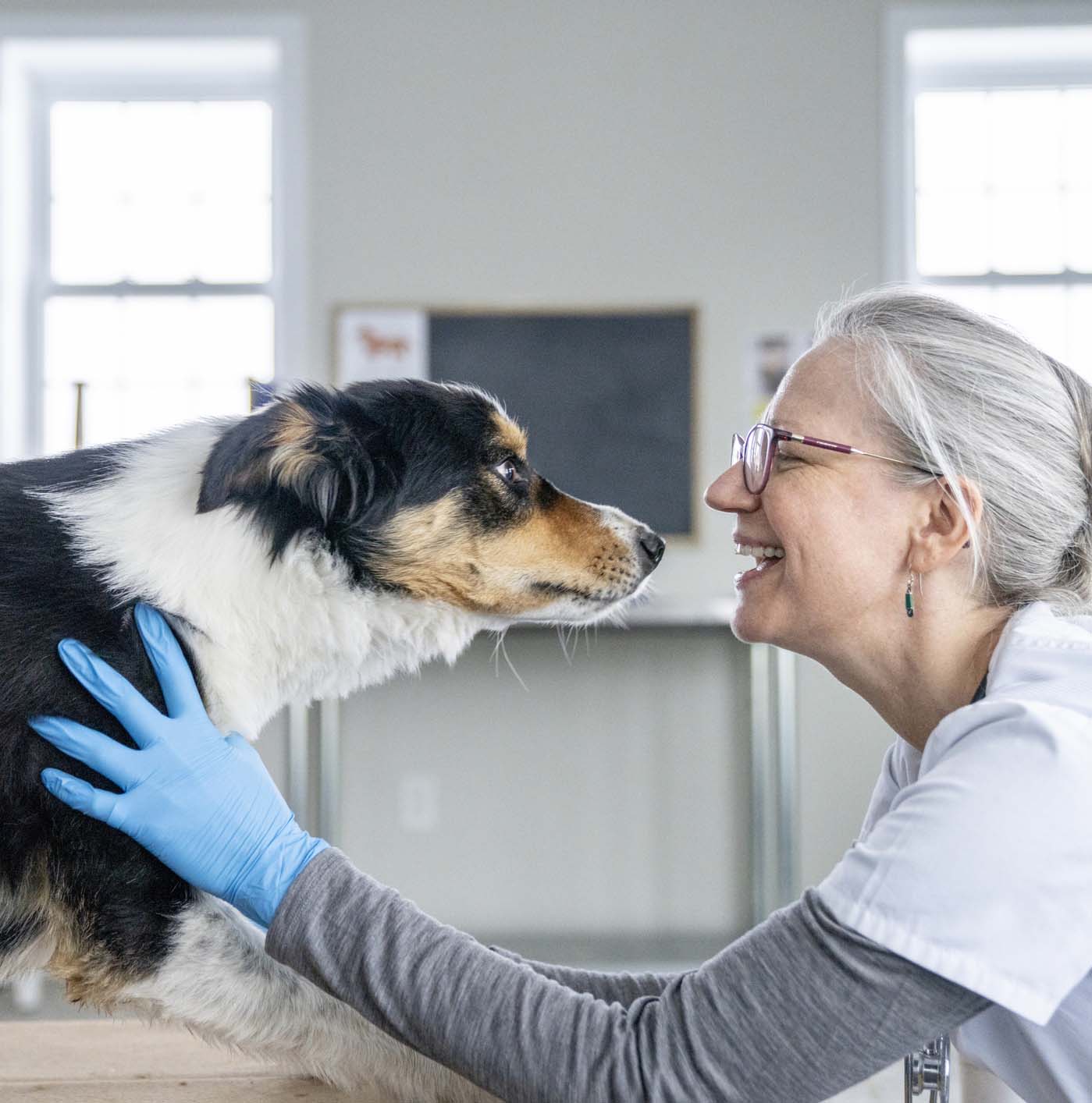 Veterinary Scheduling Software