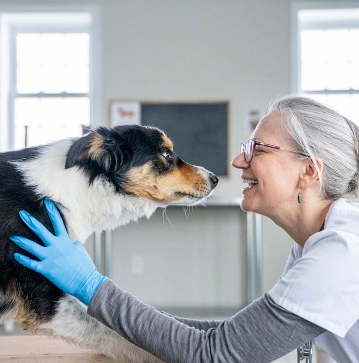 Veterinary Medical Record Software