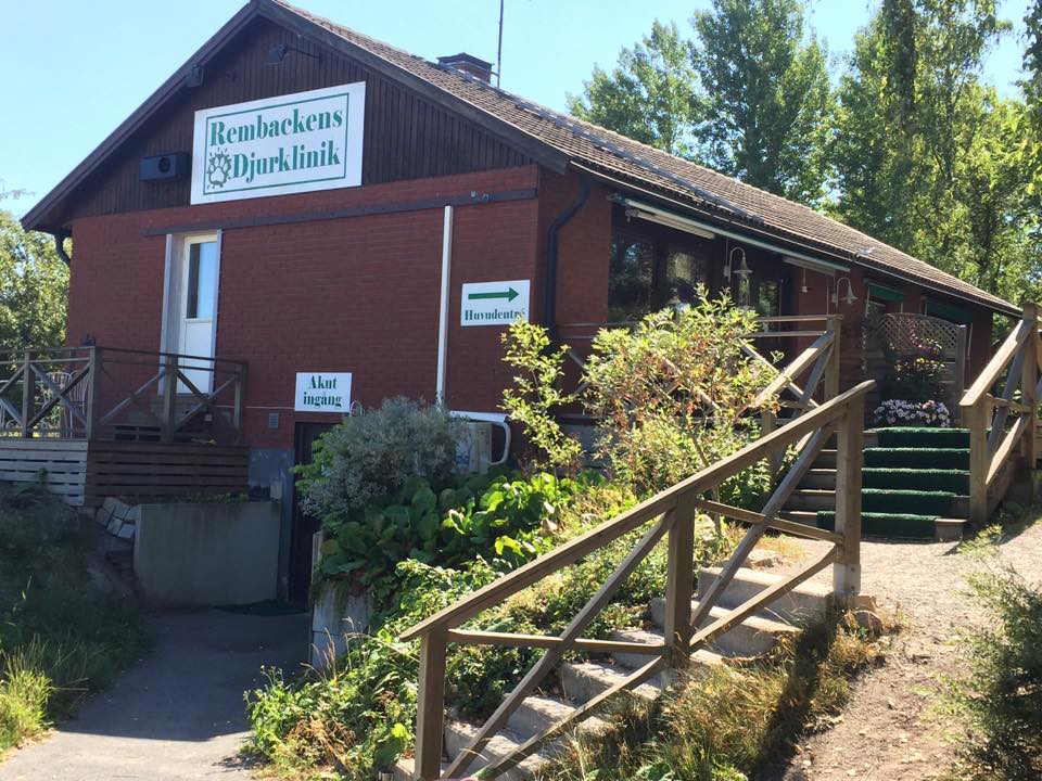 Provet Cloud is easy clinic software